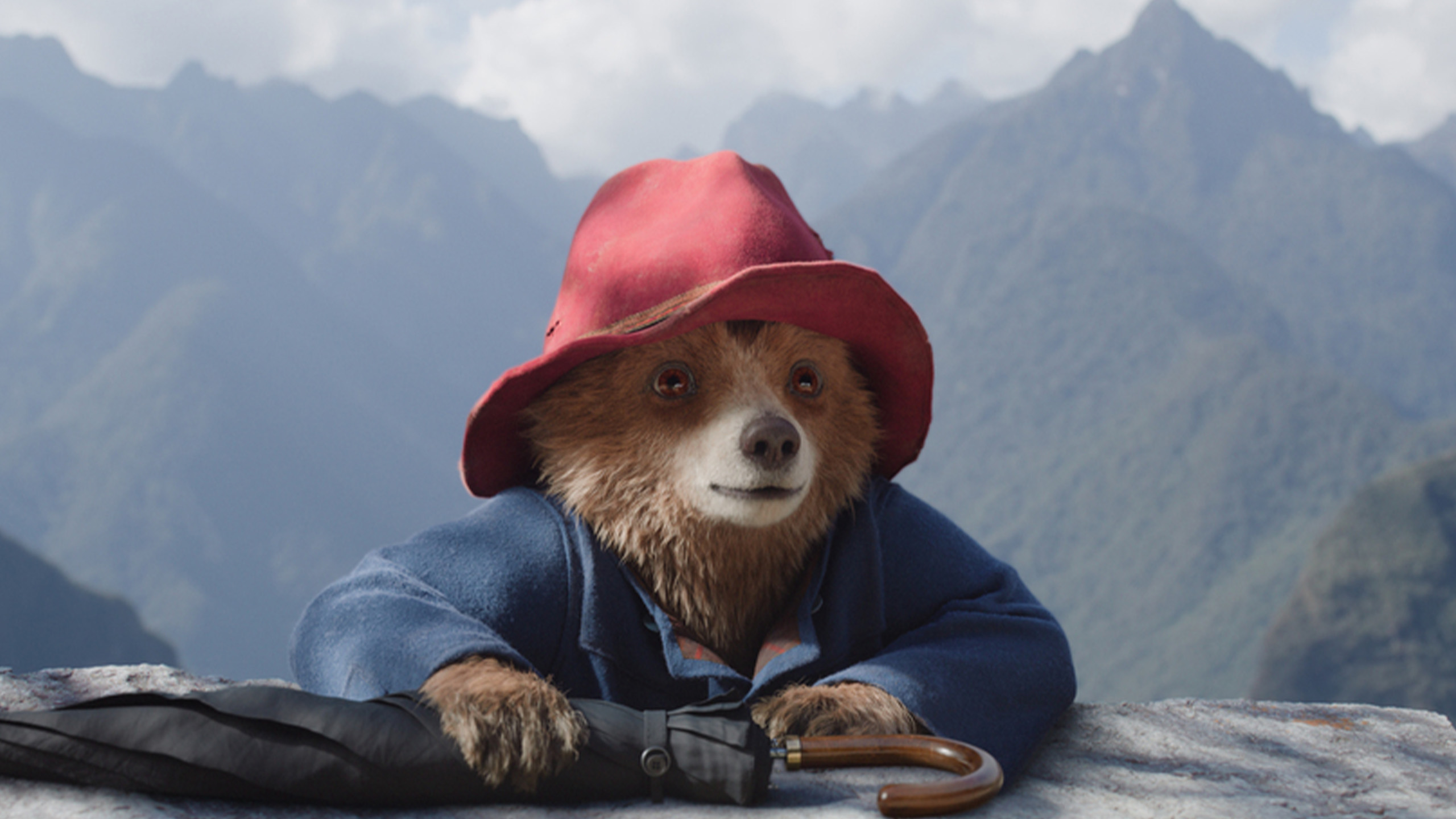 Paddington in Peru | Sydney Opera House