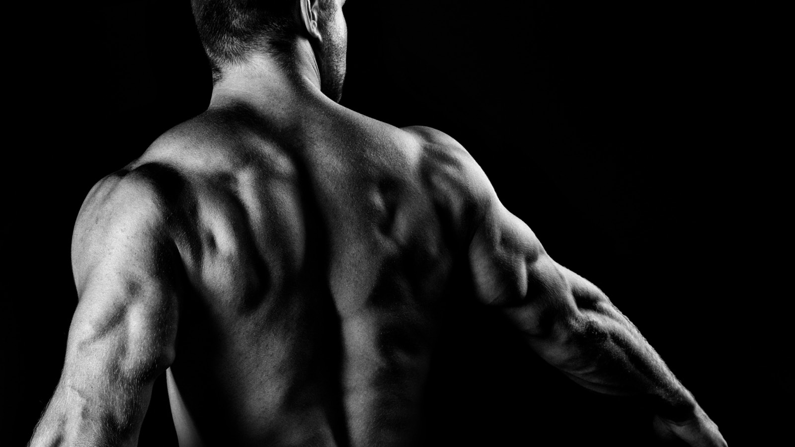 Handel’s Samson | Sydney Opera House