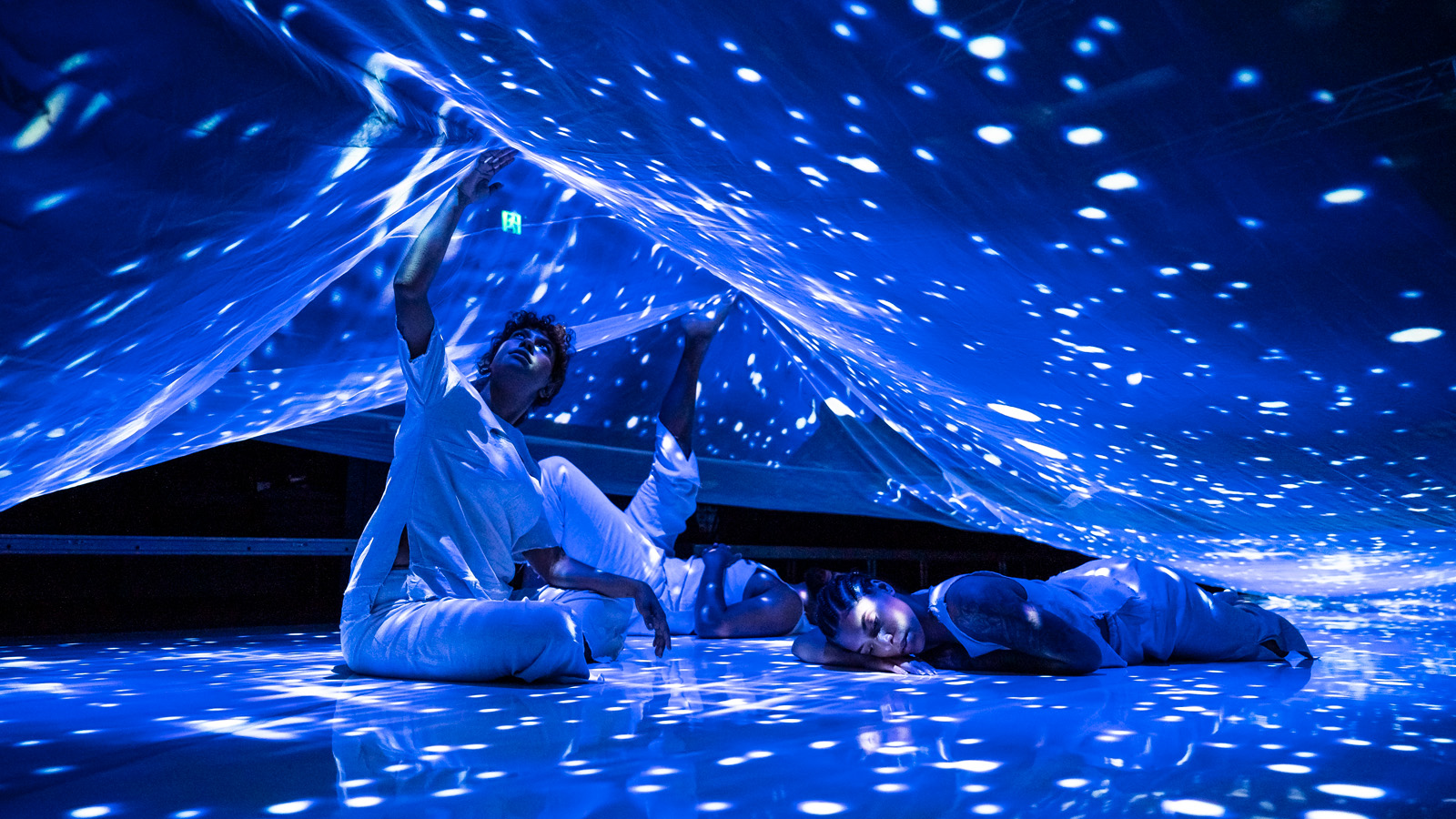 Saltbush | Sydney Opera House