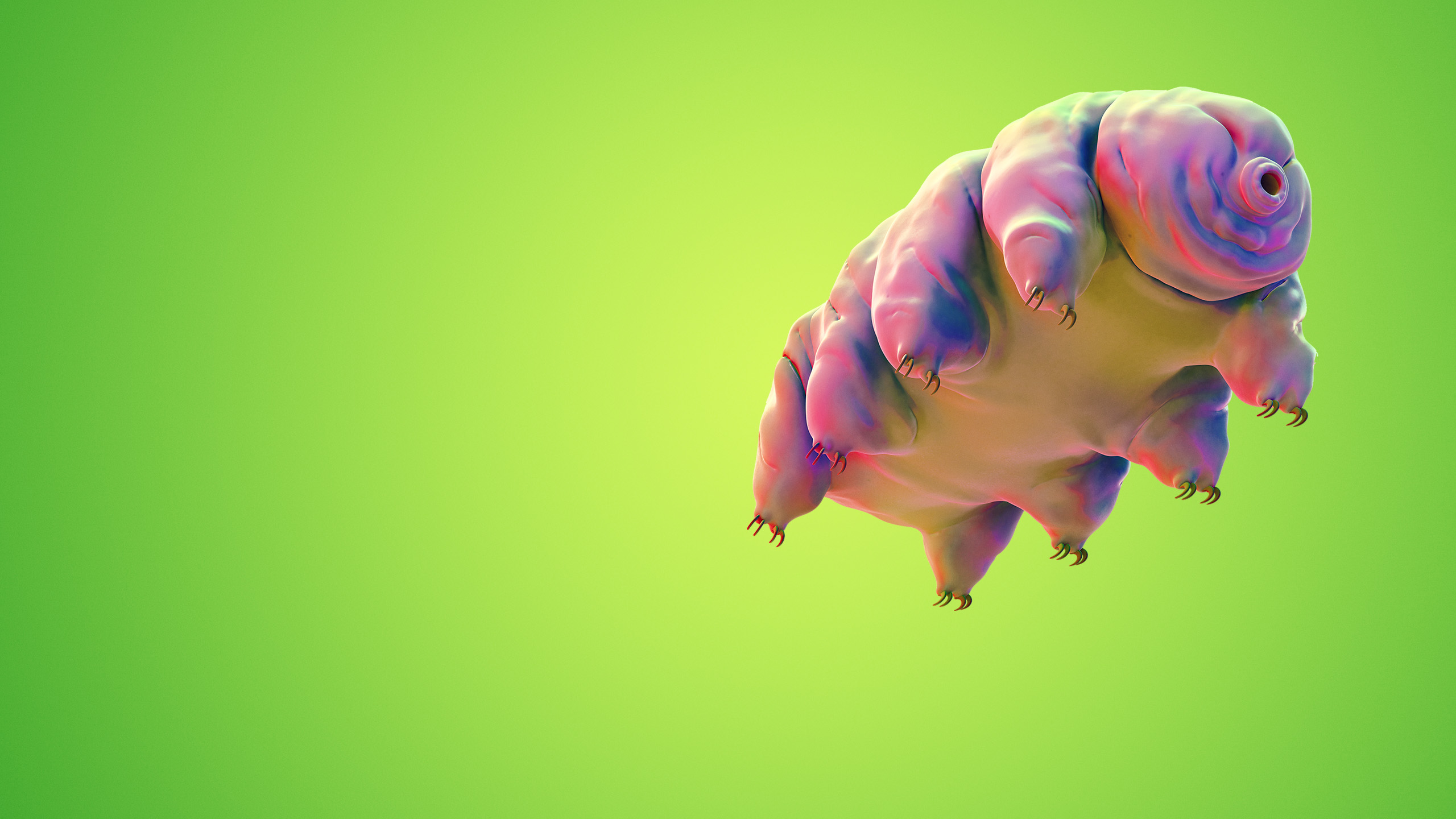 Moss Piglet | Sydney Opera House