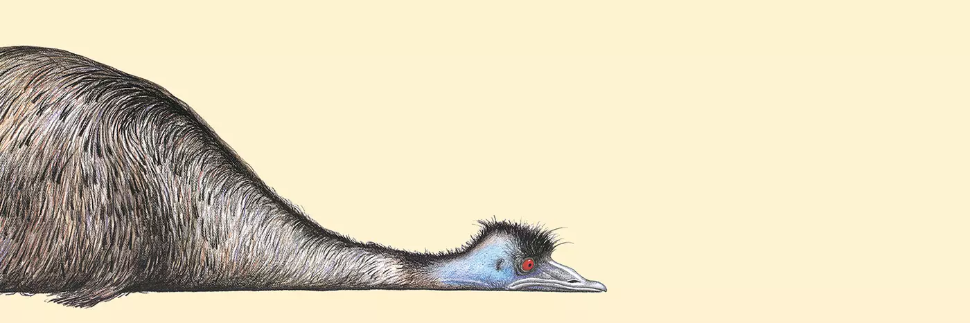 Edward the Emu | Sydney Opera House